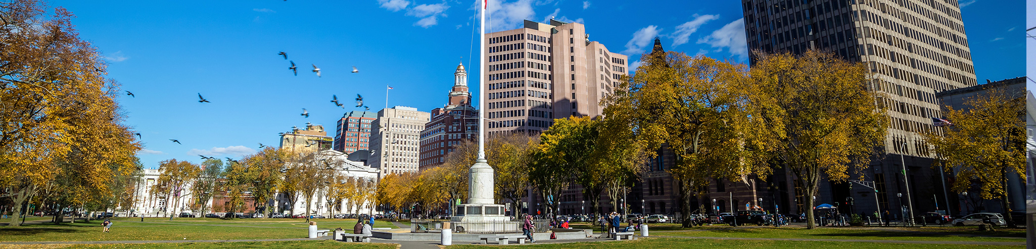 Get Connected New Haven | DISCOVER. CONNECT. SUCCEED.